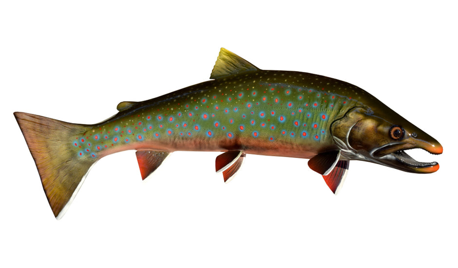 Freshwater Fish Mounts | King Sailfish Mounts