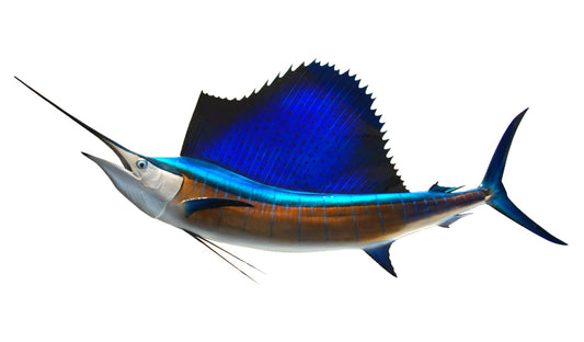 King Sailfish Mounts | Fish Mounts & Replicas