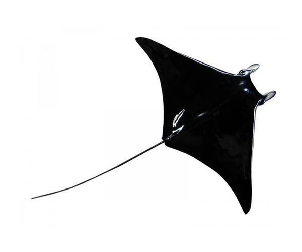 Manta Ray Fish Mounts | King Sailfish Mounts