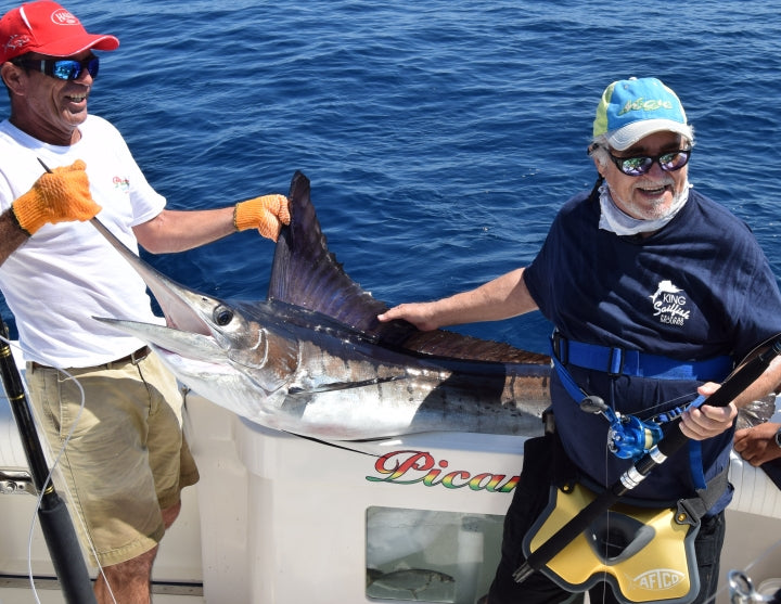 Striped Marlin Fish Mounts | King Sailfish Mounts