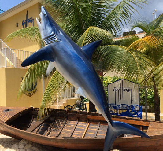 Mako Shark Fish Mounts | King Sailfish Mounts