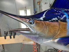 About Us | King Sailfish Mounts