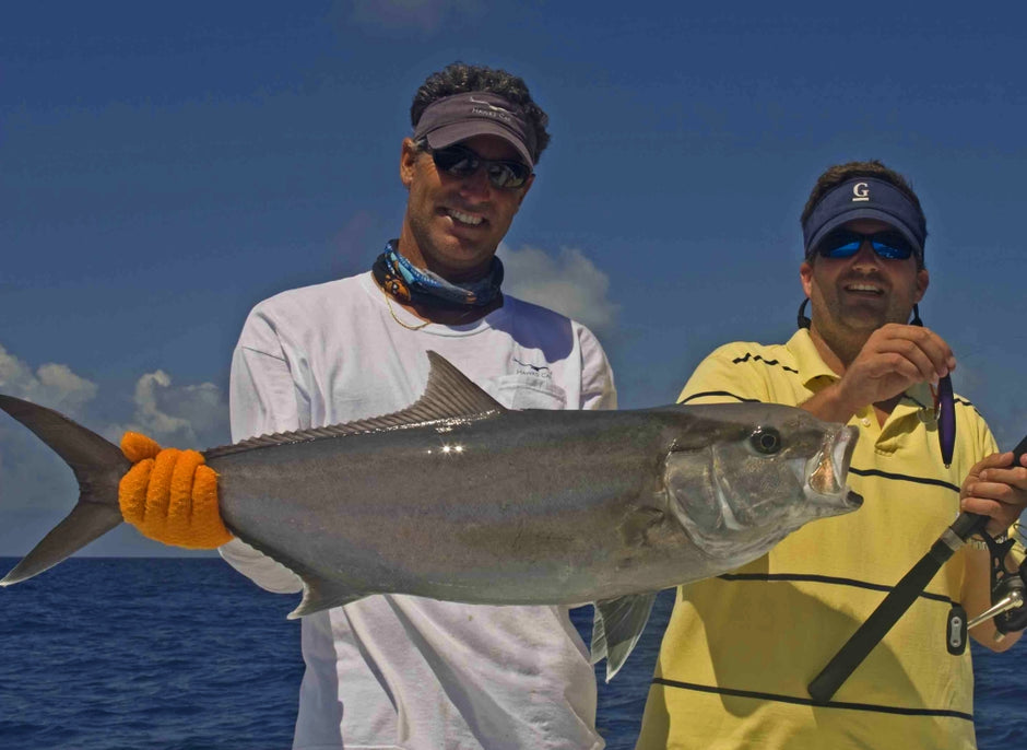 Amberjack Fish Mounts | King Sailfish Mounts