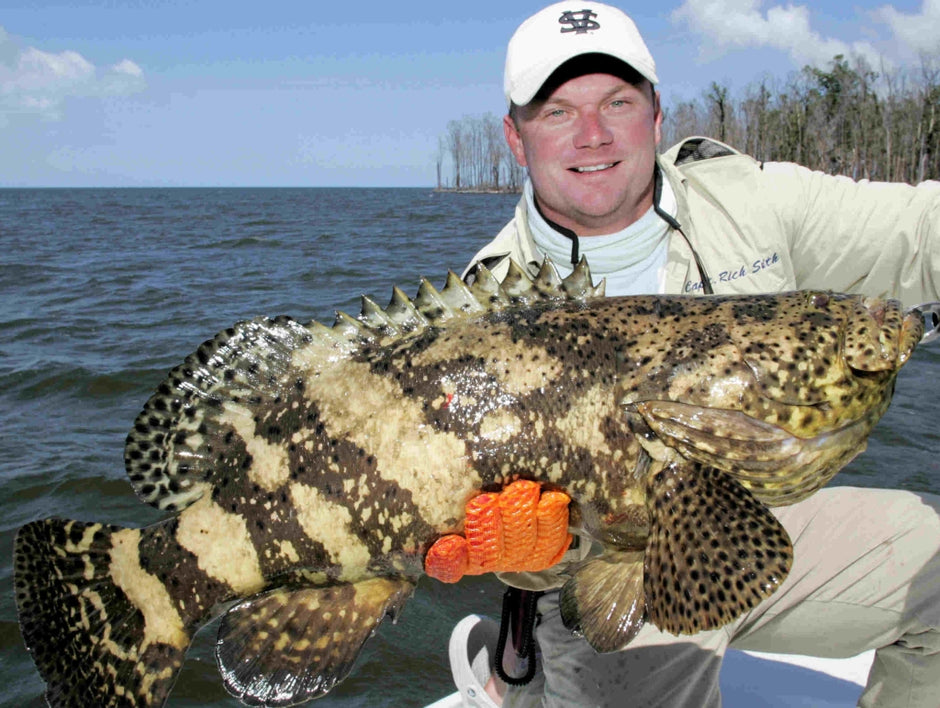 Jewfish Fish Mounts | King Sailfish Mounts