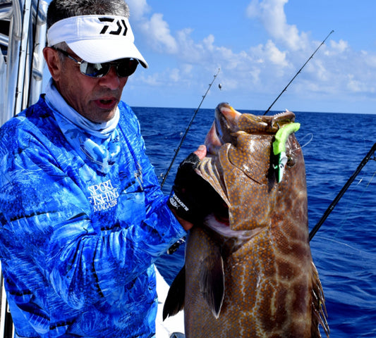 Black Grouper Fish Blanks, Standard | King Sailfish Mounts