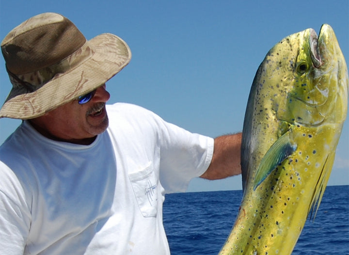 Cow Dolphin Fish Mounts | King Sailfish Mounts