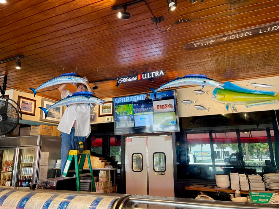 Custom Fish Mount Packages | King Sailfish Mounts