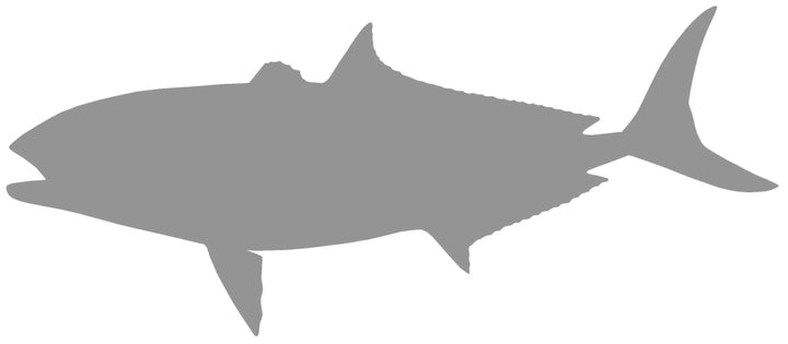 Fish Blanks, Standard | King Sailfish Mounts