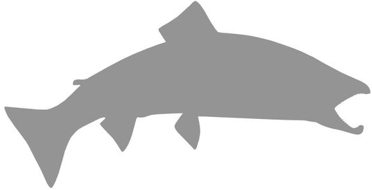 Fish Blanks, Standard | King Sailfish Mounts