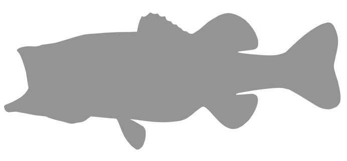 Largemouth Bass Fish Blanks, Standard | King Sailfish Mounts