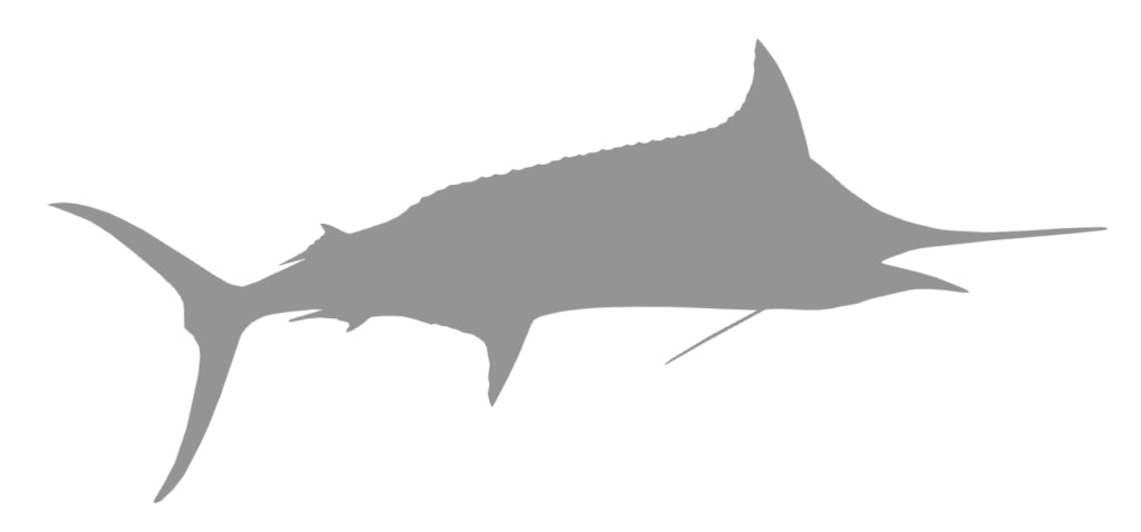 120-Inch Blue Marlin Blank Fish Mounts (R), Standard | King Sailfish Mounts