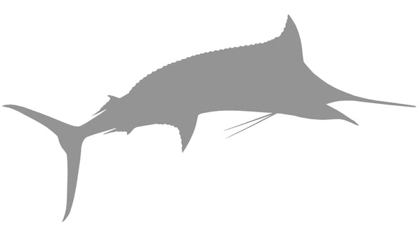 Blue Marlin Fish Blanks, Standard | King Sailfish Mounts