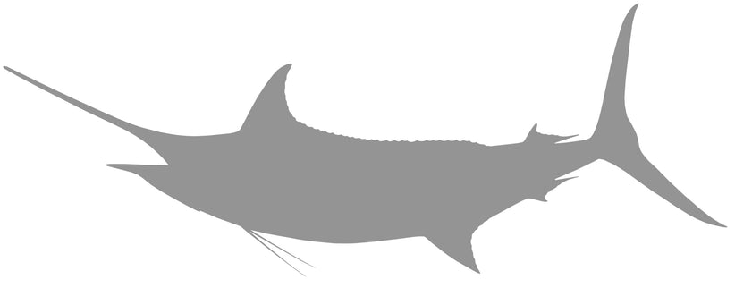 Blue Marlin Fish Blanks, Standard | King Sailfish Mounts