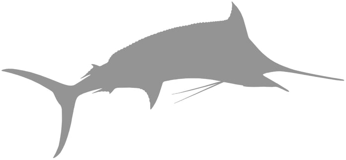 Blue Marlin Fish Blanks, Standard | King Sailfish Mounts