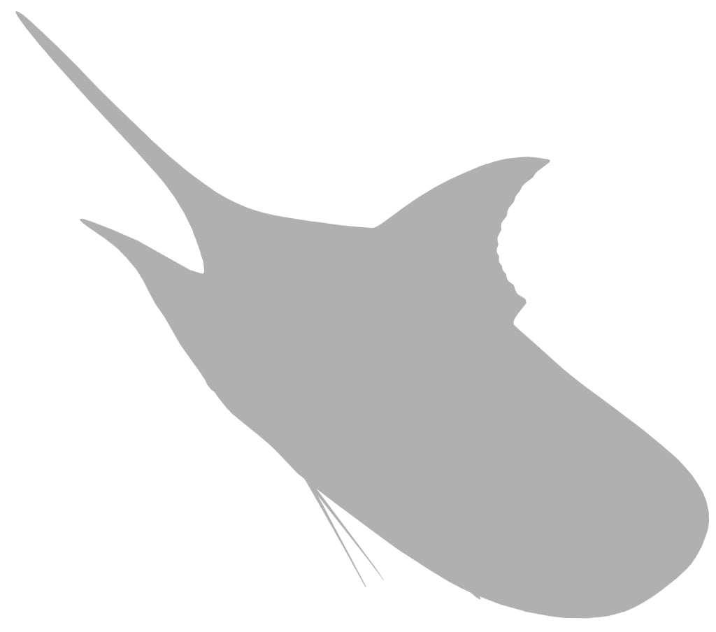 73-Inch Blue Marlin Head Mount Blanks, Standard | King Sailfish Mounts