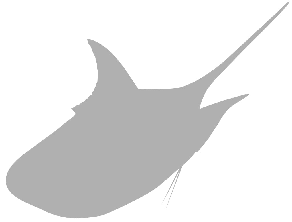 74-Inch Blue Marlin Head Mount Blanks, Standard | King Sailfish Mounts