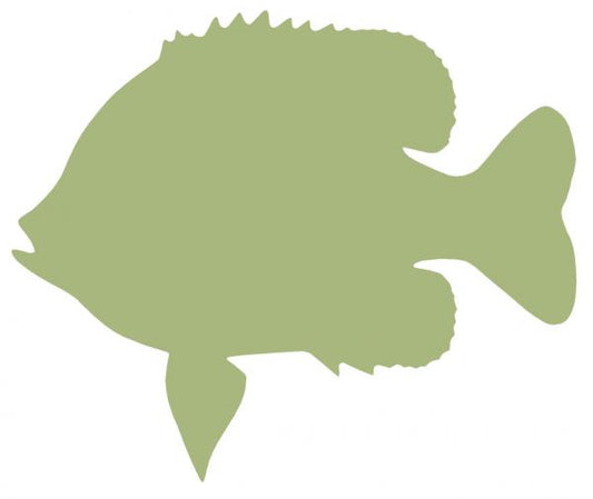 Fish Blanks, Economical | King Sailfish Mounts