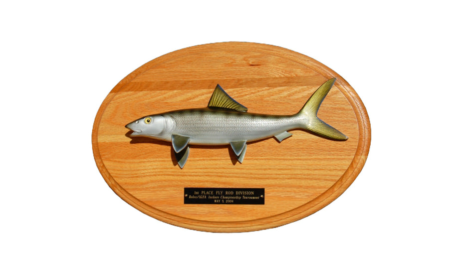 Fishing Tournament Trophies | King Sailfish Mounts