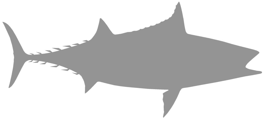 20-Inch Bonito Blank Fish Mount, Standard | King Sailfish Mounts