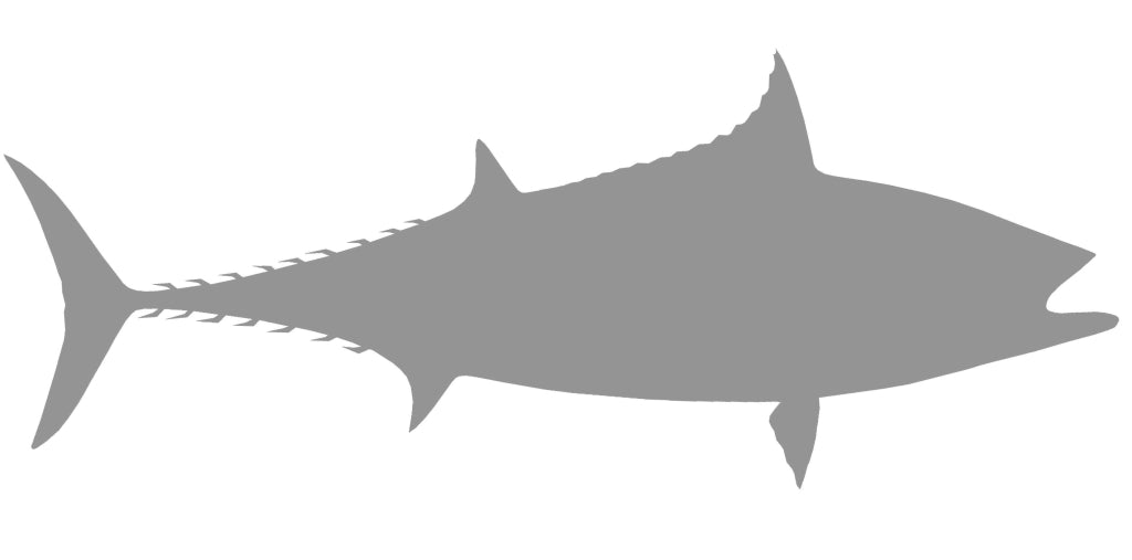 29-Inch Bonito Blank Fish Mounts, Standard | King Sailfish Mounts