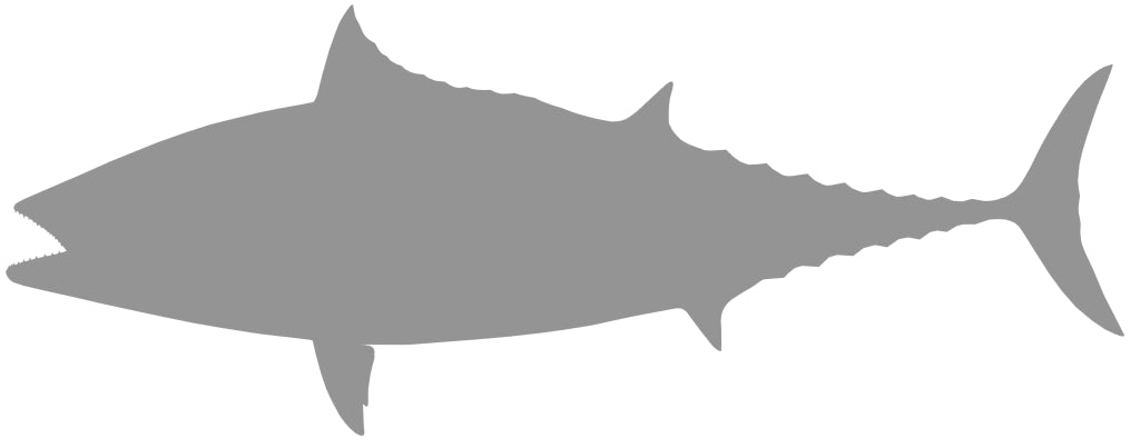 30-Inch Bonito Blank Fish Mounts, Standard | King Sailfish Mounts