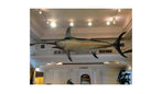 I.G.F.A. World Record Swordfish Fish Mount | King Sailfish Mounts