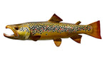 20-Inch Brown Trout (L) Fish Mount | King Sailfish Mounts
