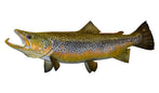 31-Inch Brown Trout (L) Fish Mount | King Sailfish Mounts