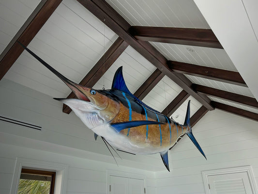 King Sailfish Mounts | Fish Mounts & Replicas