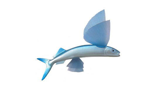 Flying Fish Baitfish Mounts | King Sailfish Mounts