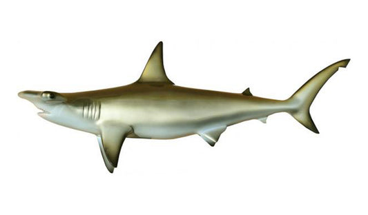 Miniature Mounts | King Sailfish Mounts