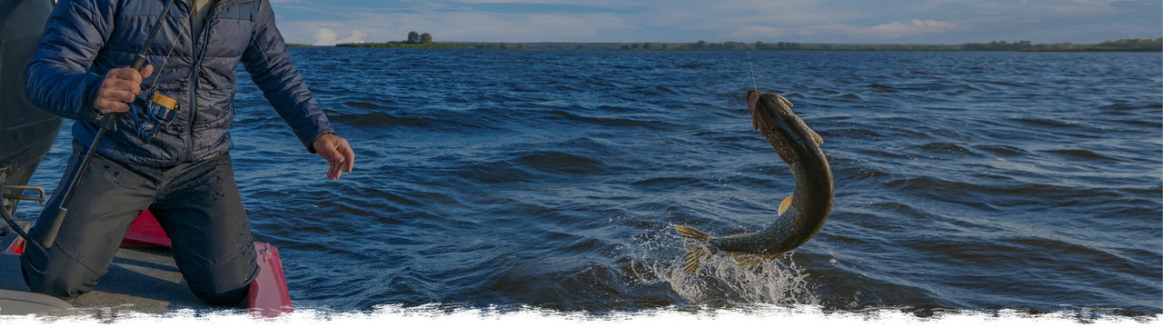 Miniature Mounts | King Sailfish Mounts