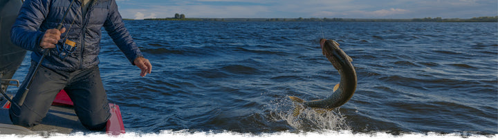 Miniature Mounts | King Sailfish Mounts