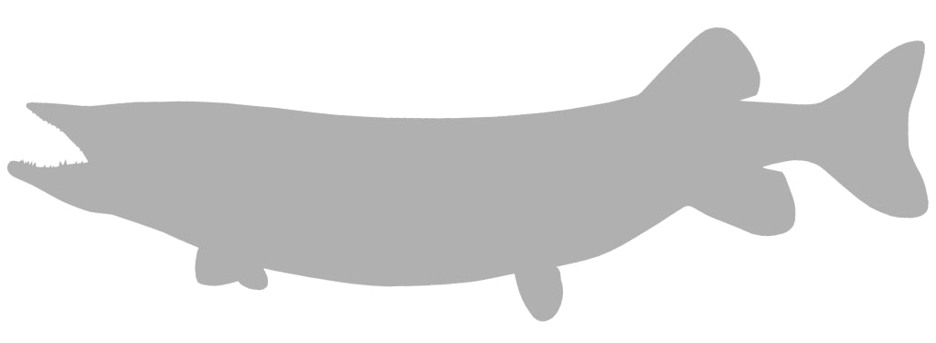 47-Inch Muskie Blank Fish Mounts, Standard | King Sailfish Mounts