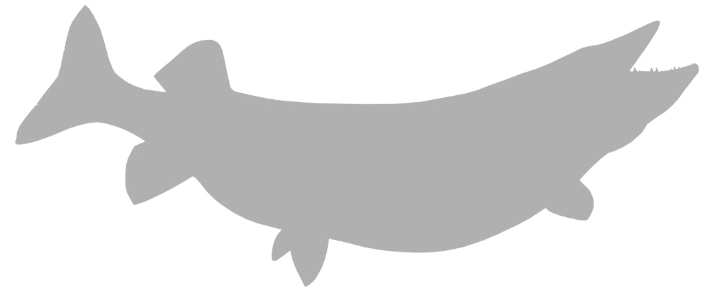 48-Inch Muskie Blank Fish Mounts, Standard | King Sailfish Mounts