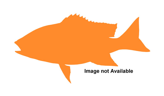 Mutton Snapper Fish Mounts | King Sailfish Mounts