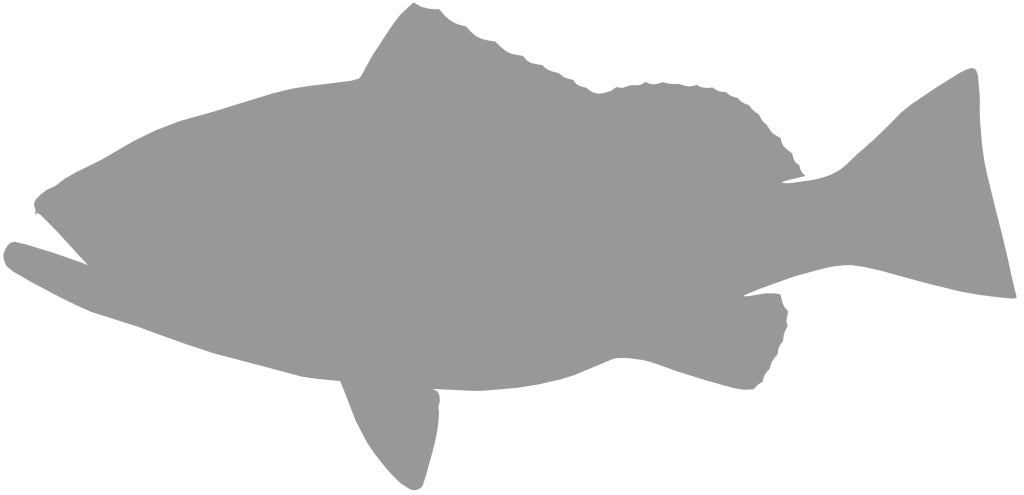 32-Inch Red Grouper Blank Fish Mounts, Standard | King Sailfish Mounts