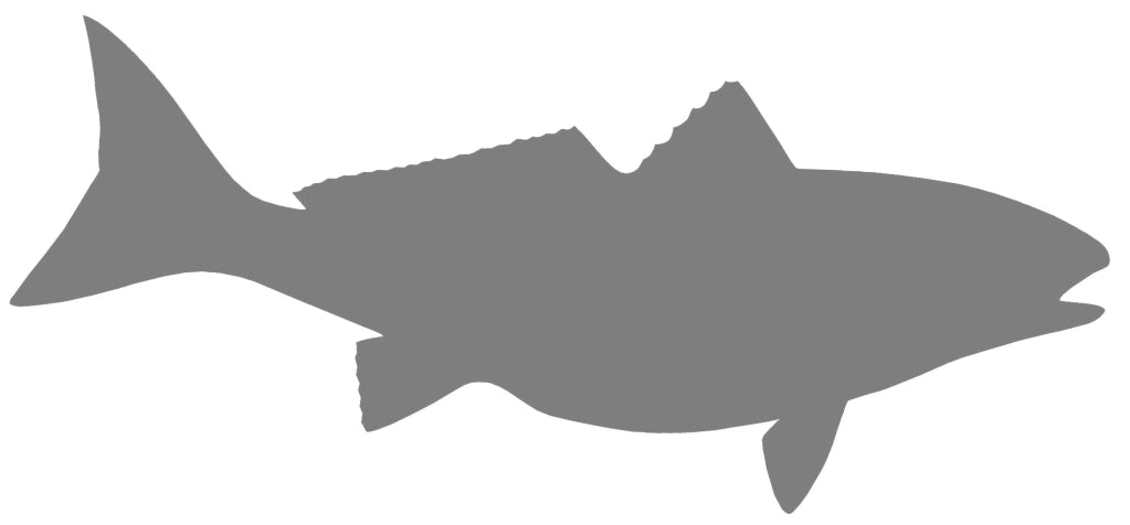 29-Inch Redfish Blank Fish Mounts, Standard | King Sailfish Mounts