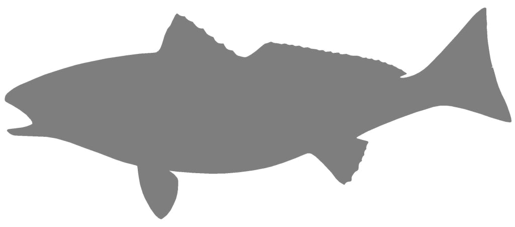 32-Inch Redfish Blank Fish Mounts, Standard | King Sailfish Mounts