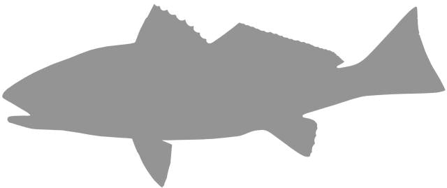 36-Inch Redfish Blank Fish Mounts, Standard | King Sailfish Mounts