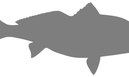 40-Inch Redfish Blank Fish Mounts, Standard | King Sailfish Mounts