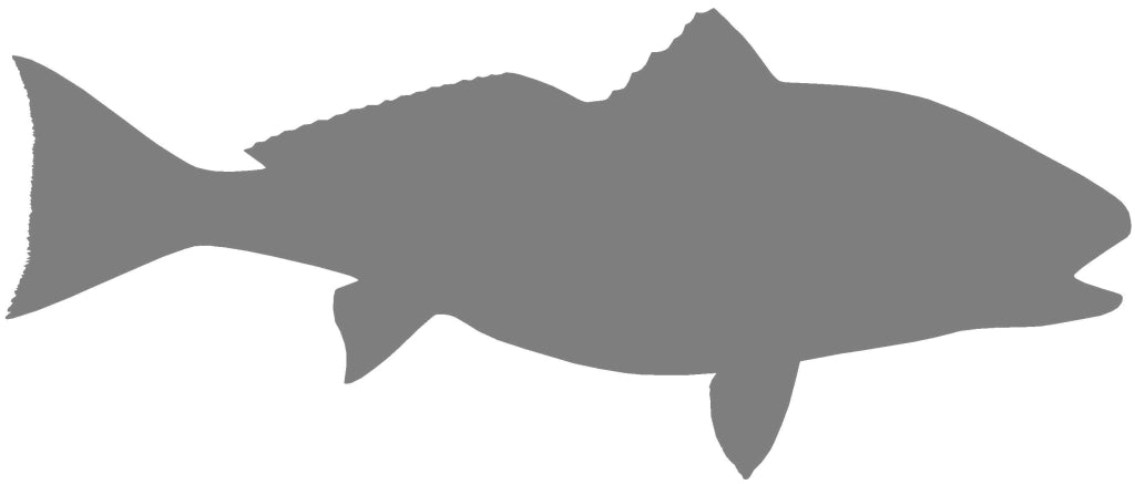 48-Inch Redfish Blank Fish Mounts, Standard | King Sailfish Mounts