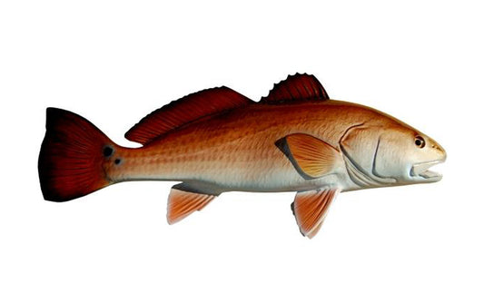 Redfish Miniature Fish Mounts | King Sailfish Mounts