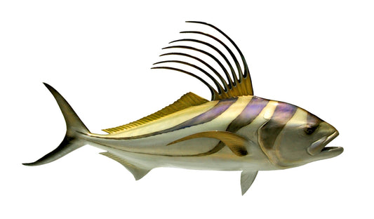 Roosterfish Fish Mounts | King Sailfish Mounts