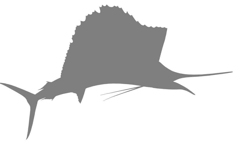 84-Inch Sailfish Blank Fish Mounts, Standard | King Sailfish Mounts