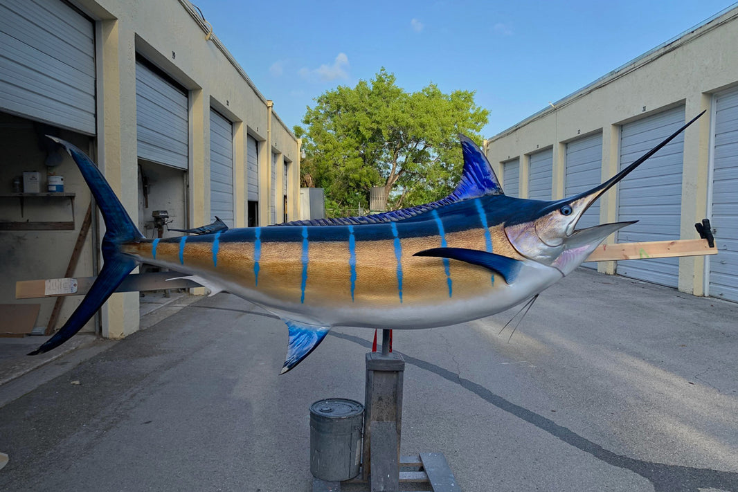 King Sailfish Mounts | Fish Mounts & Replicas