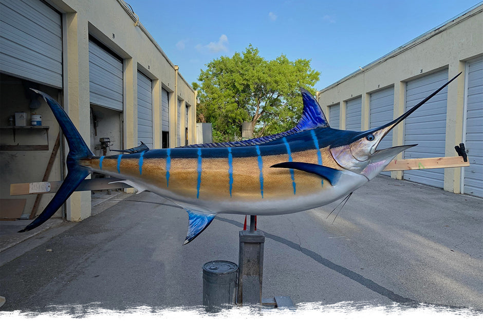 King Sailfish Mounts | Fish Mounts & Replicas