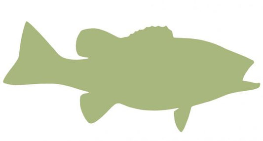 Fish Blanks, Economical | King Sailfish Mounts