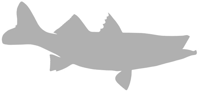 Common Snook Fish Blanks, Standard | King Sailfish Mounts