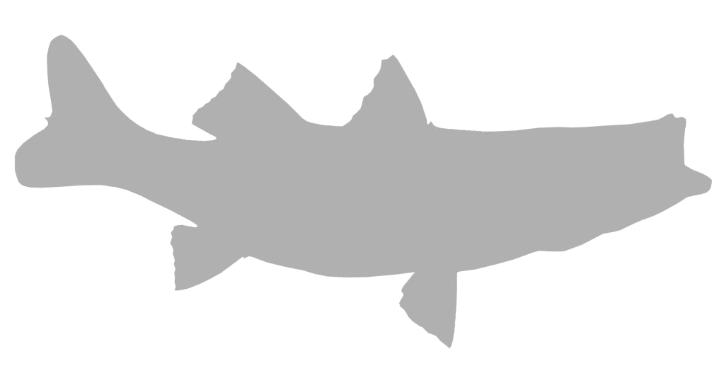 38-Inch Common Snook Blank Fish Mounts, Standard | King Sailfish Mounts